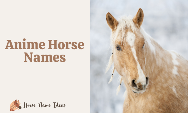260 Anime Horse Names (With Meanings) - HorseNameIdeas.com