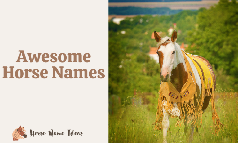 250 Awesome Horse Names (With Meanings) - HorseNameIdeas.com