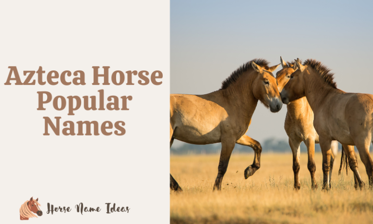 250 Azteca Horse Names (With Meanings) - HorseNameIdeas.com