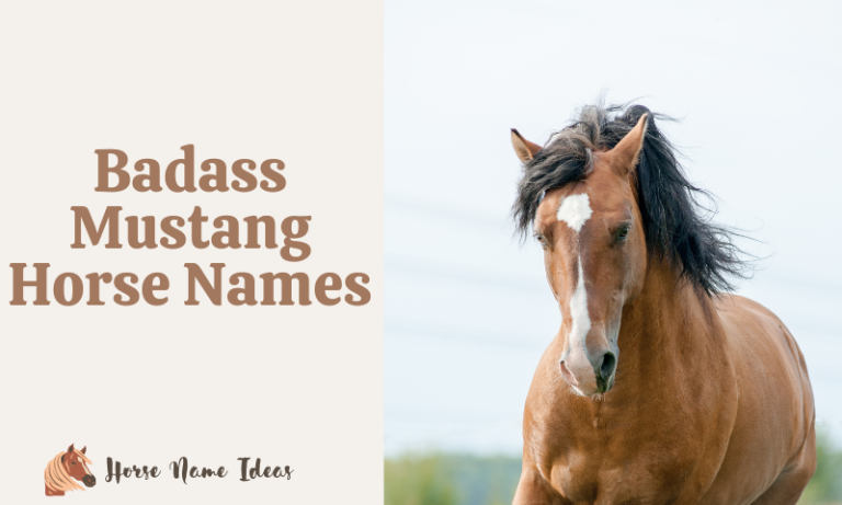 250 Badass Mustang Horse Names (With Meanings) - HorseNameIdeas.com