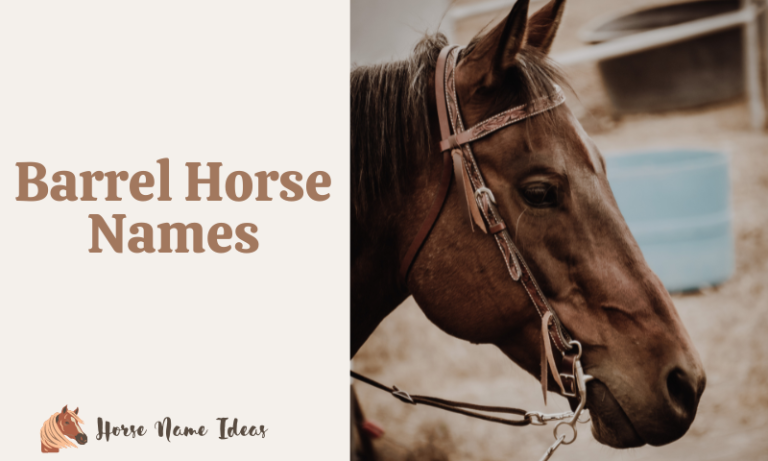 250 Barrel Horse Names (With Meanings) - HorseNameIdeas.com