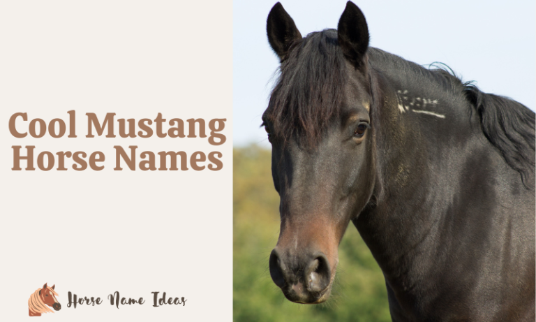 300 Cool Mustang Horse Names (With Meanings) - HorseNameIdeas.com