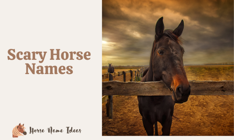 250 Scary Horse Names (With Meanings) - HorseNameIdeas.com