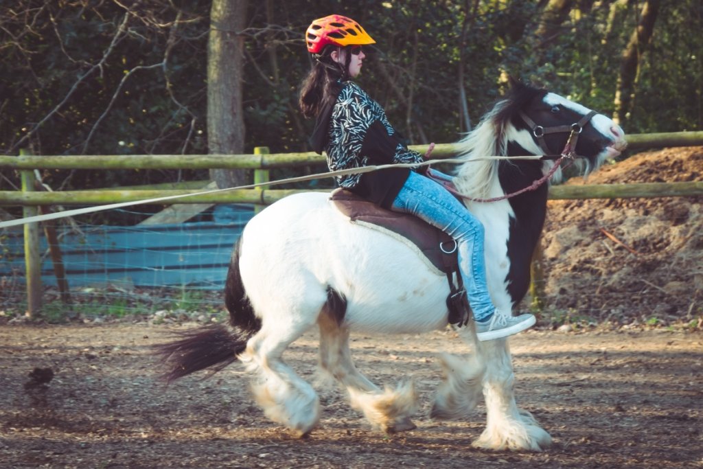 Can You Ride a Draft Horse? Exploring Their Versatile Abilities ...