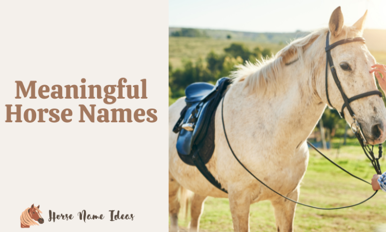 250 Meaningful Horse Names (With Meanings) - HorseNameIdeas.com