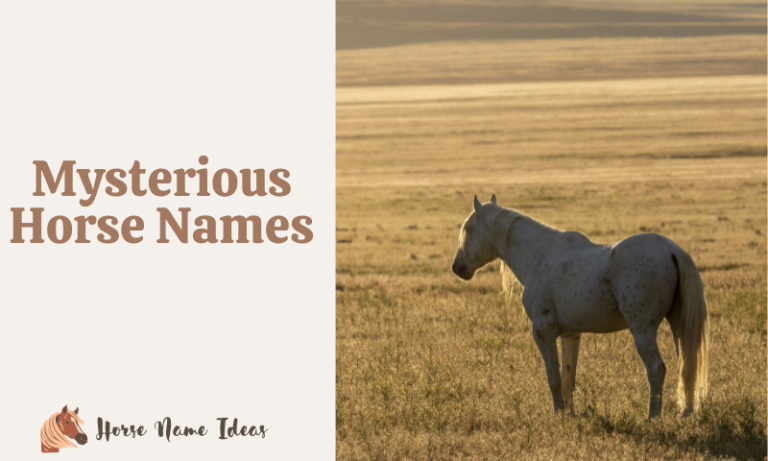 250 Mysterious Horse Names (With Meanings) - HorseNameIdeas.com
