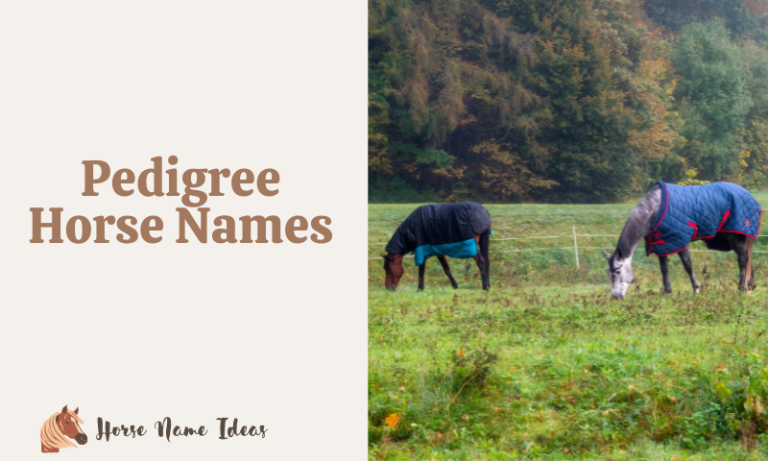 250 Pedigree Horse Names (With Meanings) - HorseNameIdeas.com